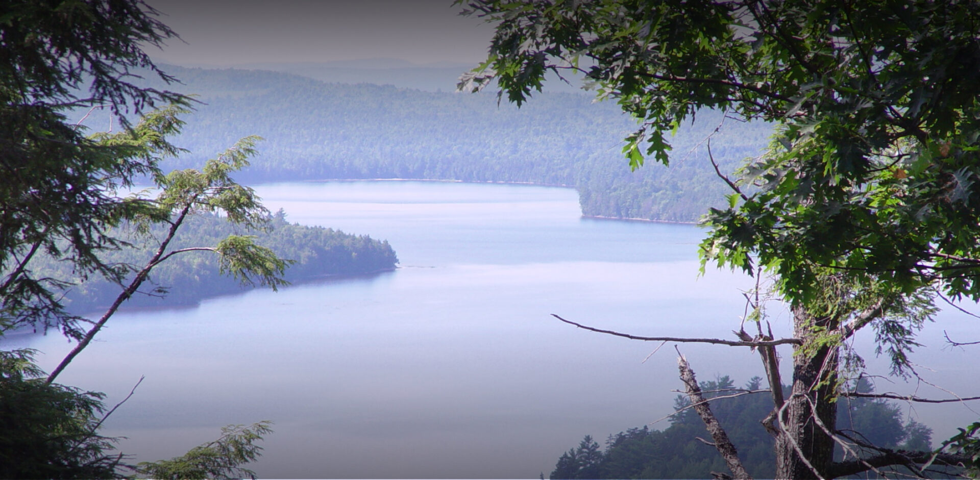 Who We Are - The Climate Trust