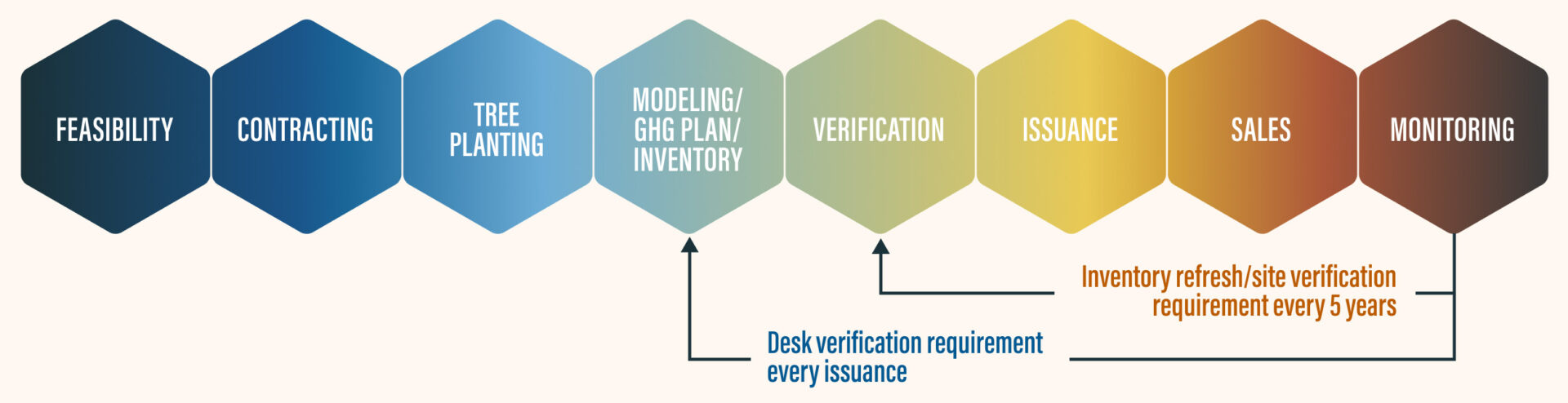Reforestation - The Climate Trust