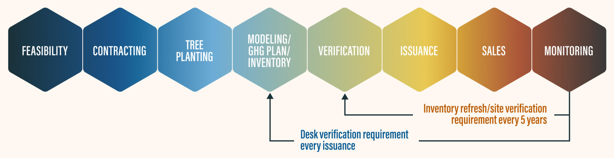 Reforestation - The Climate Trust