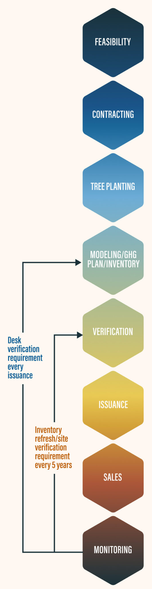 Reforestation - The Climate Trust