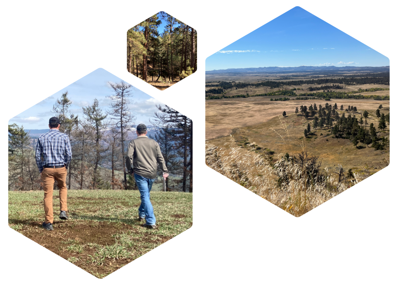 Home - The Climate Trust