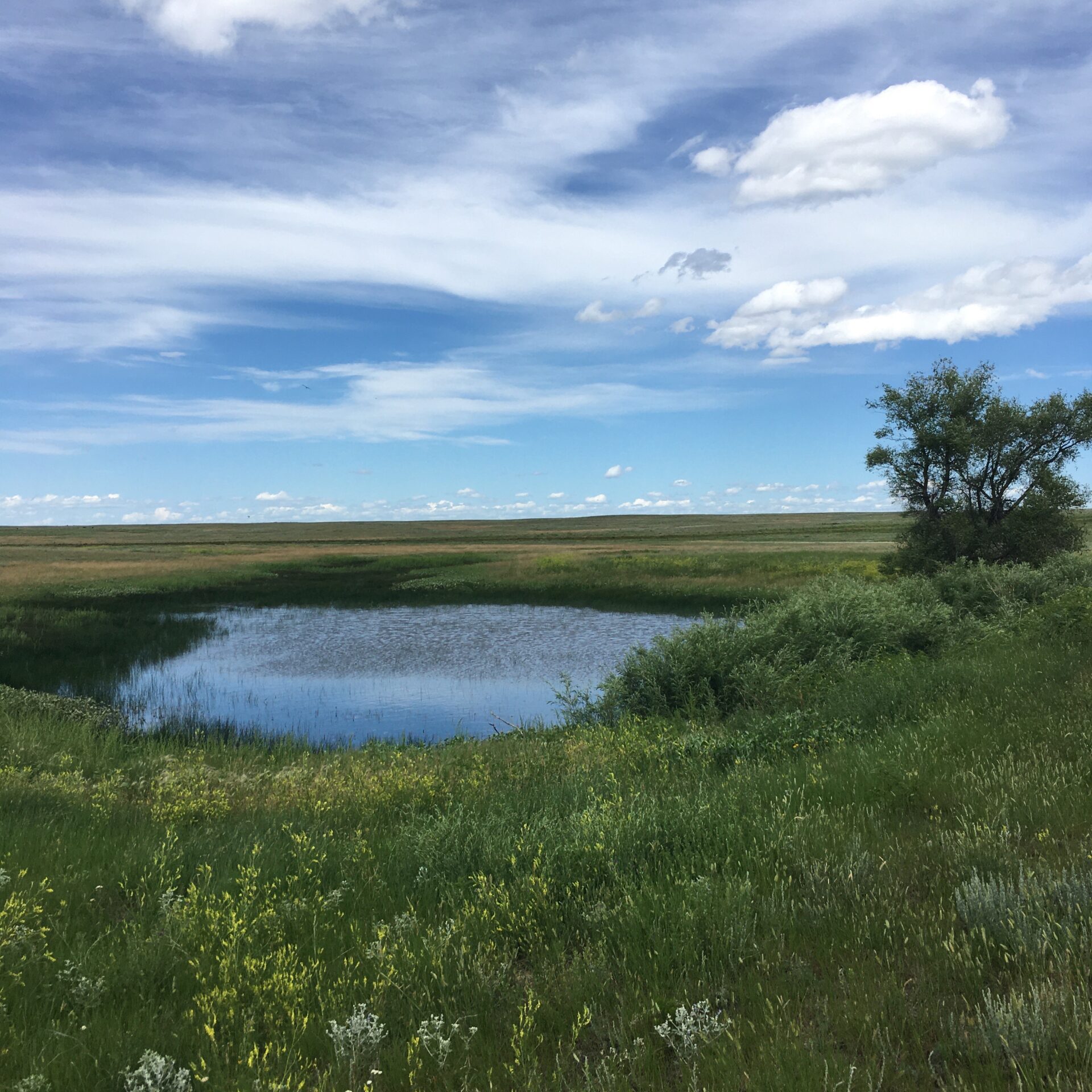 Our History - The Climate Trust