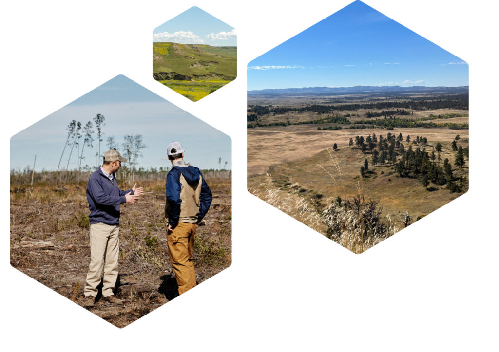 Home - The Climate Trust