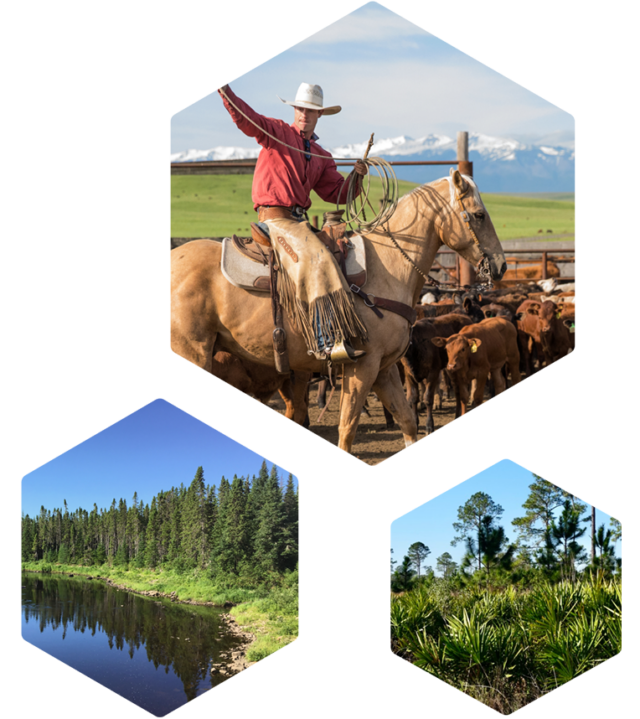 Thank You - The Climate Trust