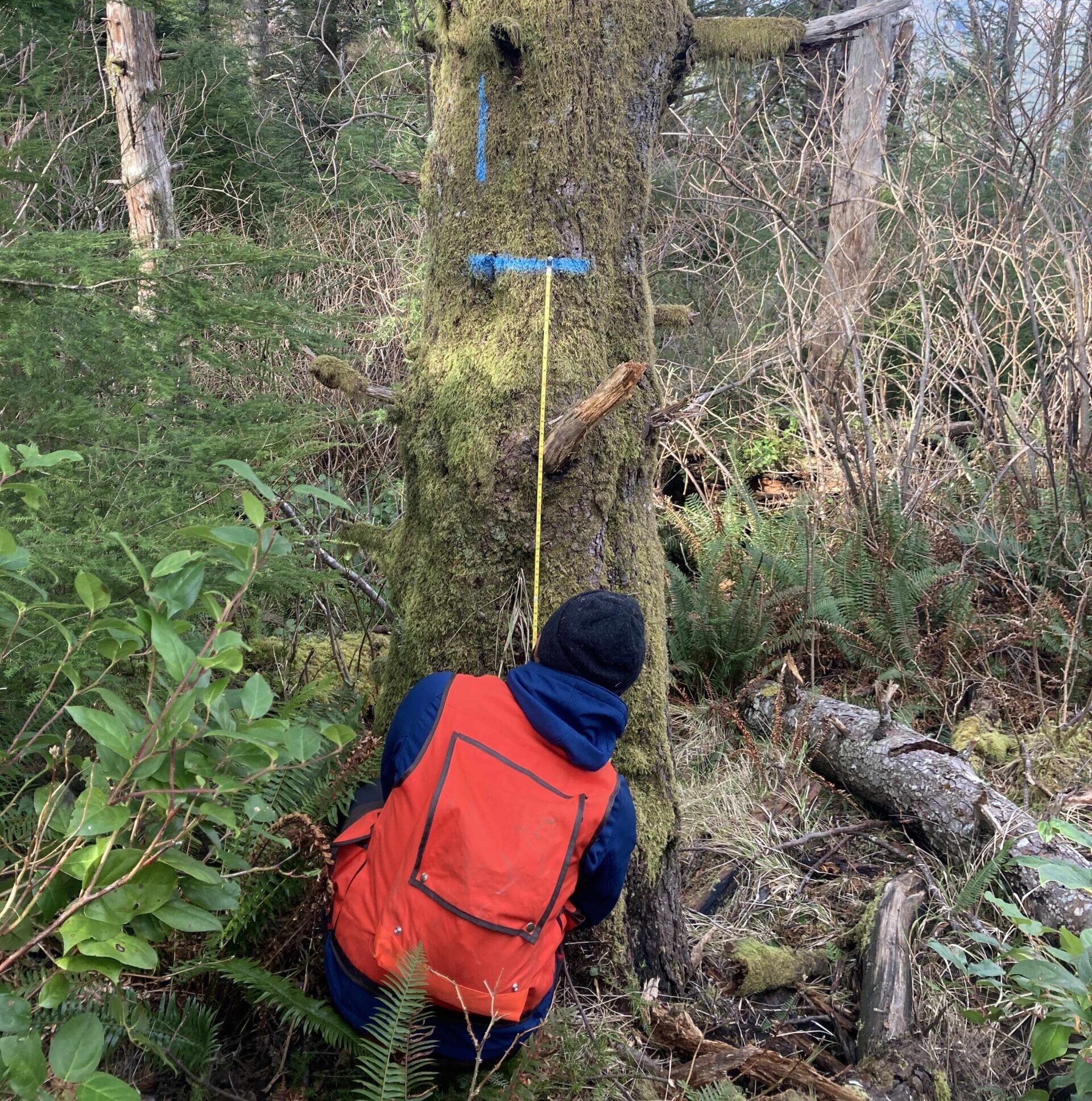 How The Climate Trust Identifies Star Carbon Projects - The Climate Trust