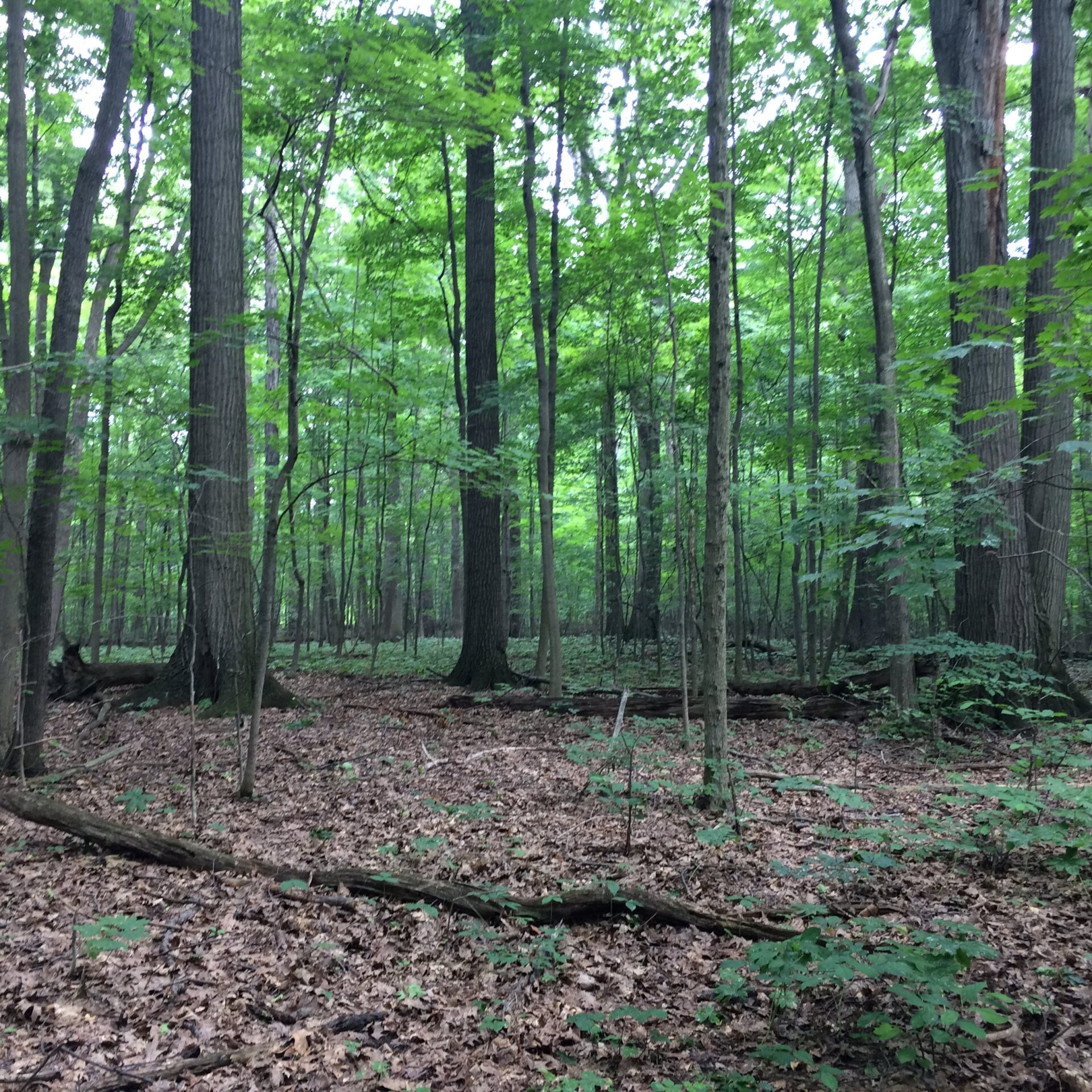 Understanding ACR’s Comparable Properties Analysis Tool - The Climate Trust